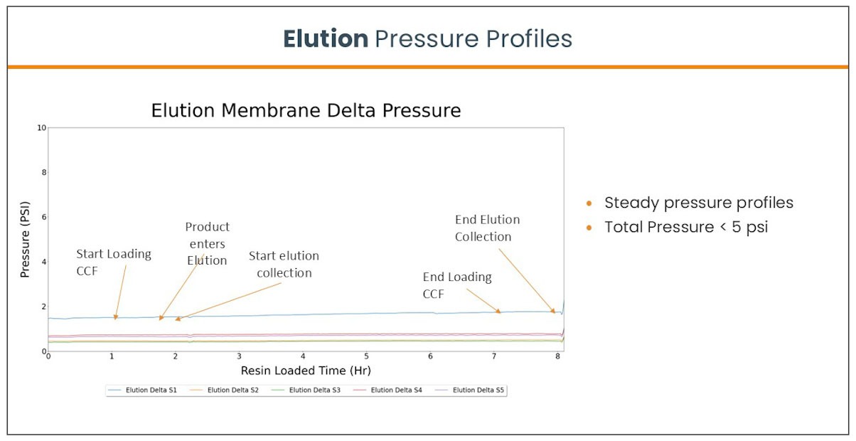 Applications – ChromaTan